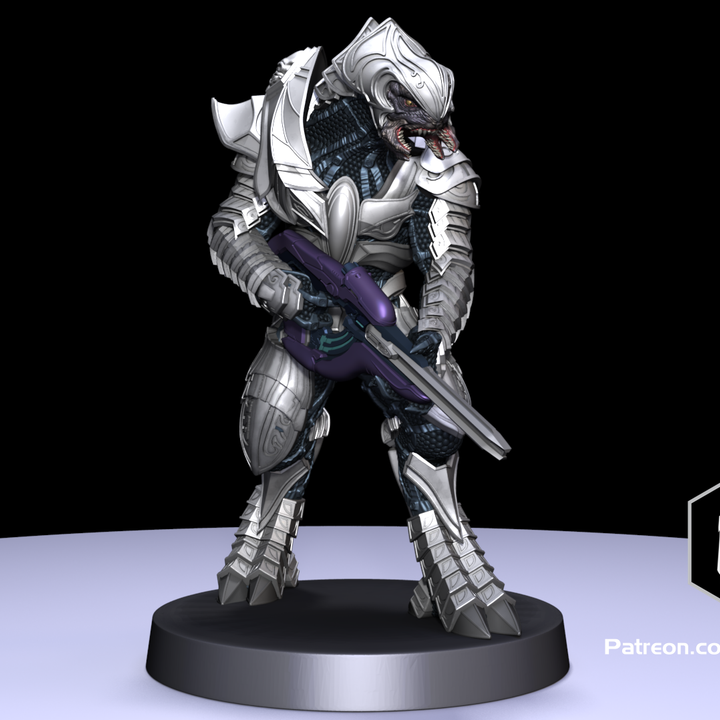 3D Printable 1:48 Scale Halo Arbiter Miniatures - 3D Print Files by ...