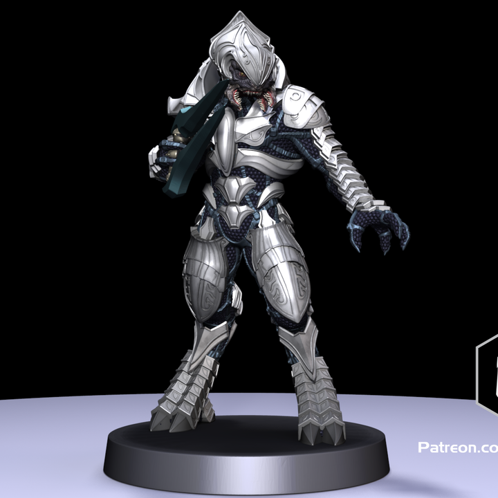 3D Printable 1:48 Scale Halo Arbiter Miniatures - 3D Print Files by ...
