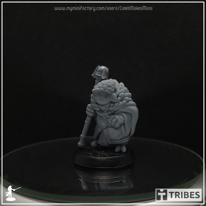 3D Printable "Archimedes" - Owl Wizard [PRE-SUPPORTED] | Avians Series ...