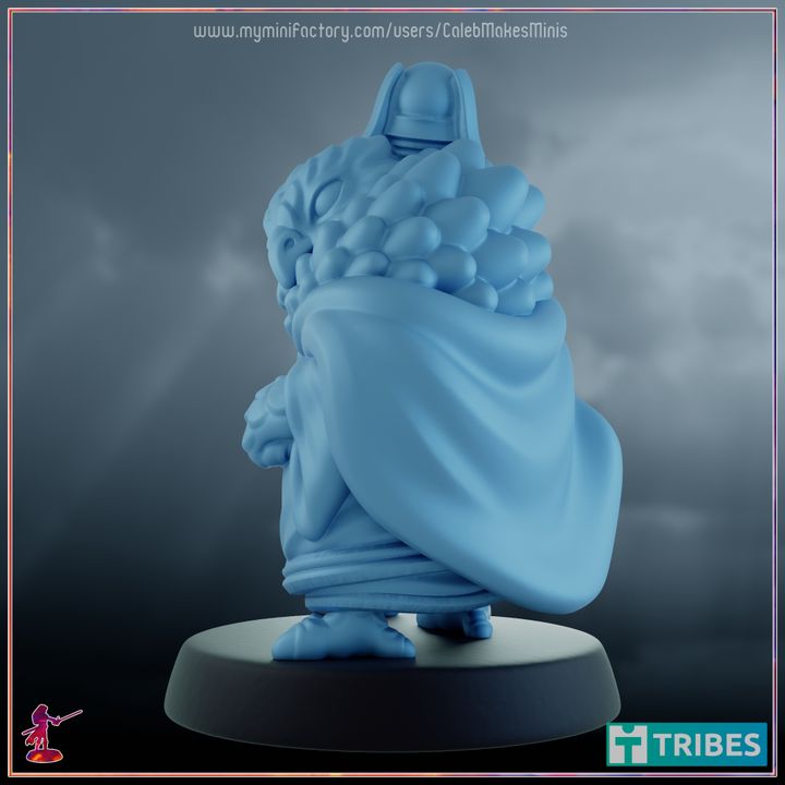 3D Printable "Archimedes" - Owl Wizard [PRE-SUPPORTED] | Avians Series ...