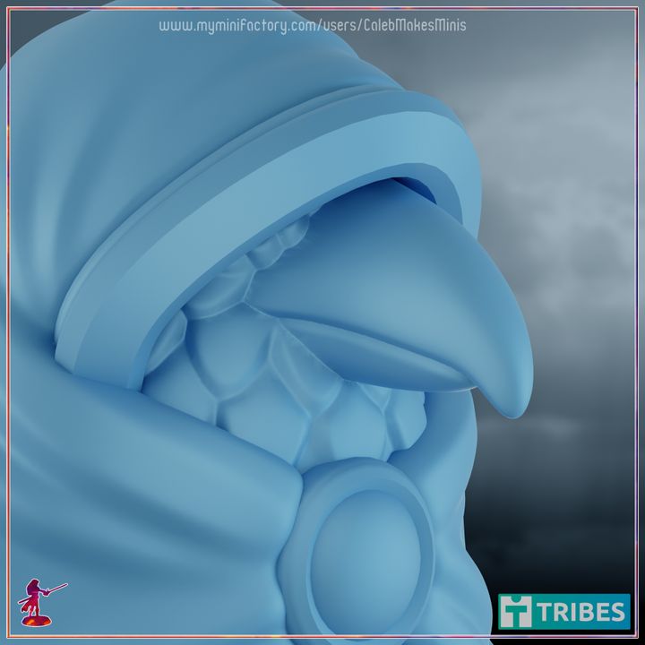 3D Printable "Maeve" - Raven Rogue [PRE-SUPPORTED] | Avians Series by ...