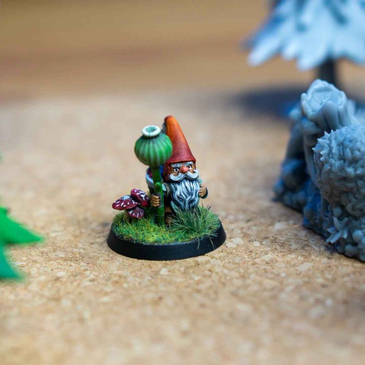 3D Print of Nomadic Gnome carrying Baby Bird - Gnome Ranger by ...