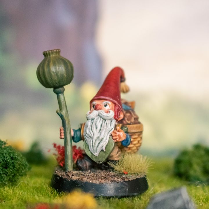 3D Printable Nomadic Gnome carrying Baby Bird - Gnome Ranger by Tine ...