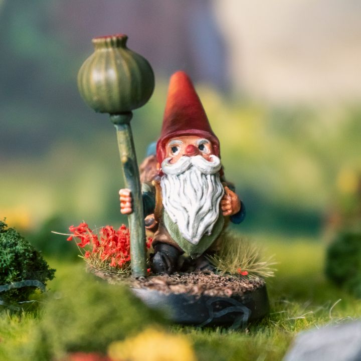 3D Printable Nomadic Gnome carrying Baby Bird - Gnome Ranger by Tine ...