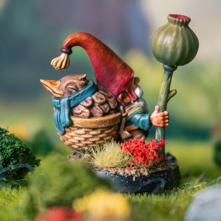 3D Printable Nomadic Gnome carrying Baby Bird - Gnome Ranger by Tine ...
