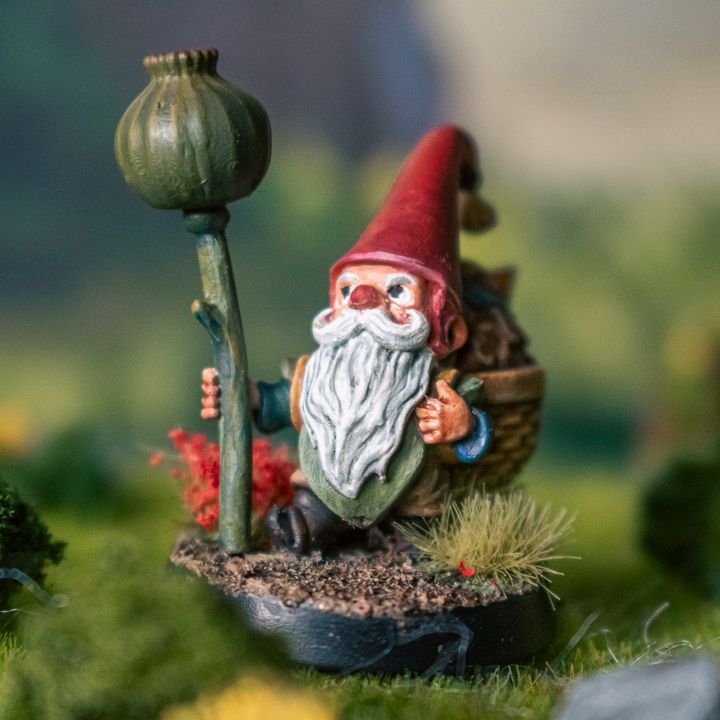 3D Printable Nomadic Gnome carrying Baby Bird - Gnome Ranger by Tine ...