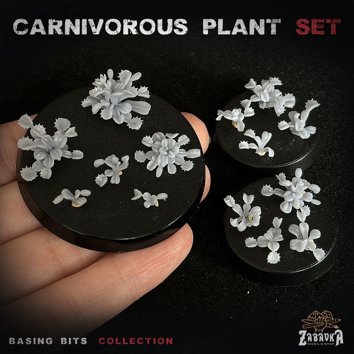 Site Under Maintenance