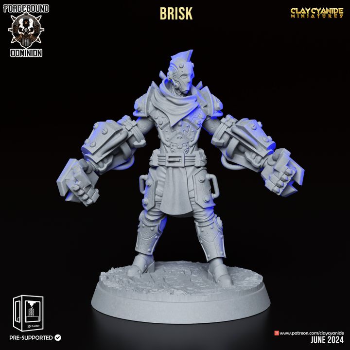 3D Printable Brisk by Clay Cyanide Miniatures