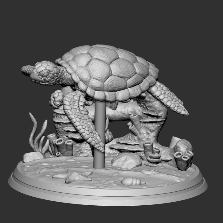 3D Printable Green sea turtle by YD STUDIO