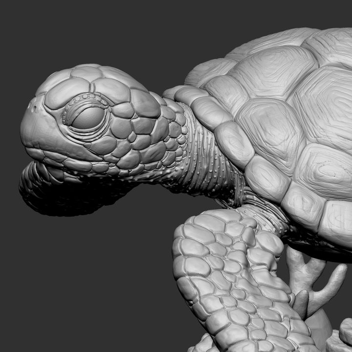 3D Printable Green sea turtle by YD STUDIO