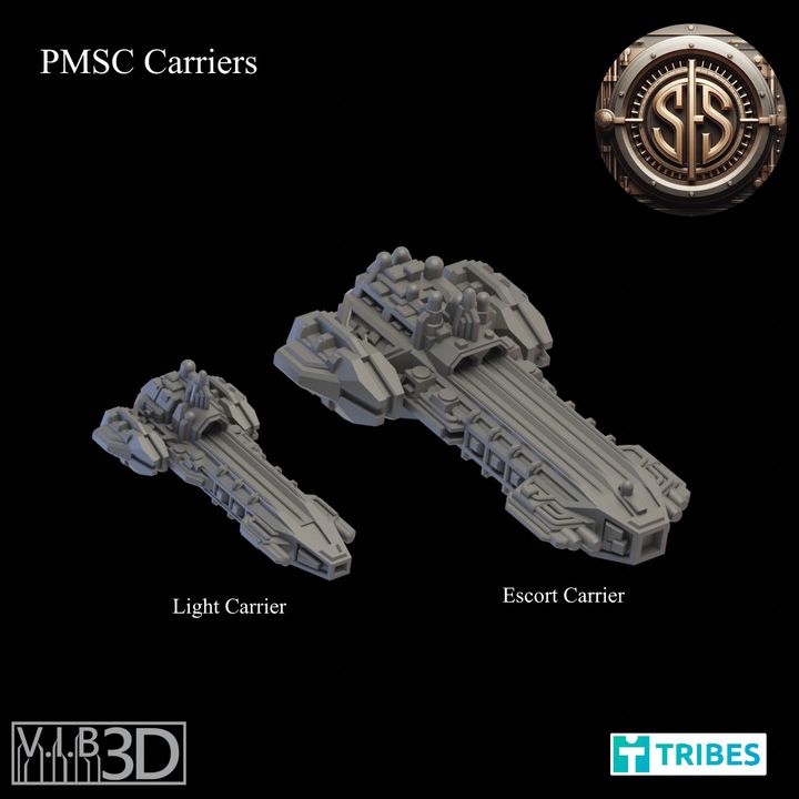 3D Printable PMSC Fleet by Soul Forge Studio