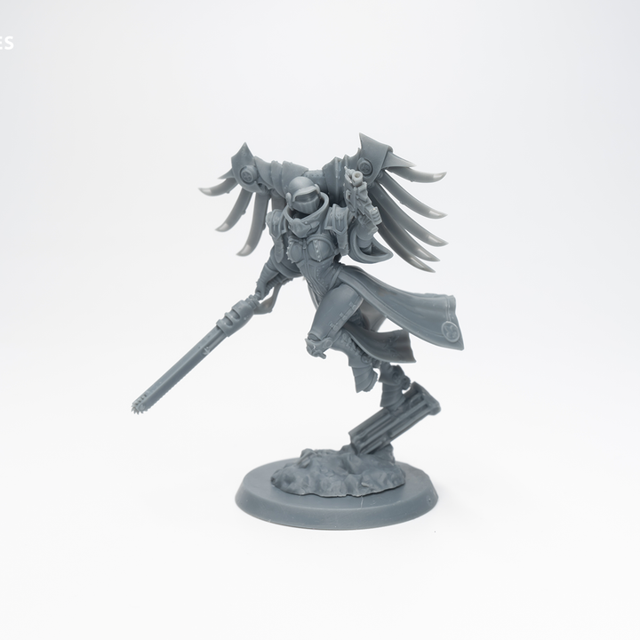 3D Printable Divine Order - Valkyrie - Pose 4 + Pinups by PSMiniatures