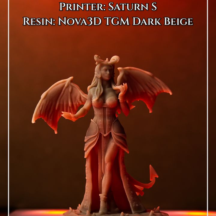 3D Printable Succubus by M3DM