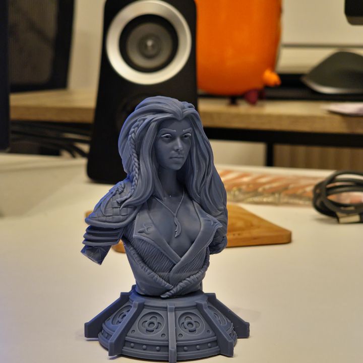 3D Print of Elara the Mystic Archer, Fantasy Character Bust, 90mm ...