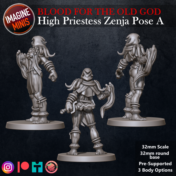 3D Printable Blood For The Old God - Zenja Pose A by Imagine Minis