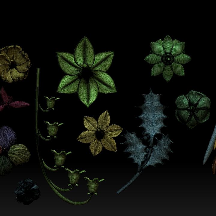 3D Printable FLOWERS by Dmitrii Tishchenkov