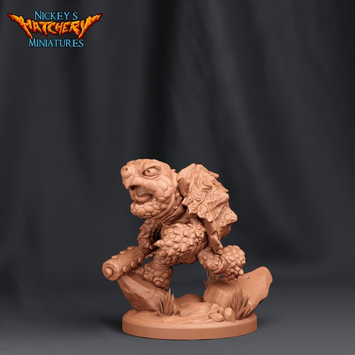 3D Printable Little Bori, Aspiring Tortle Fighter! | Running Version by ...