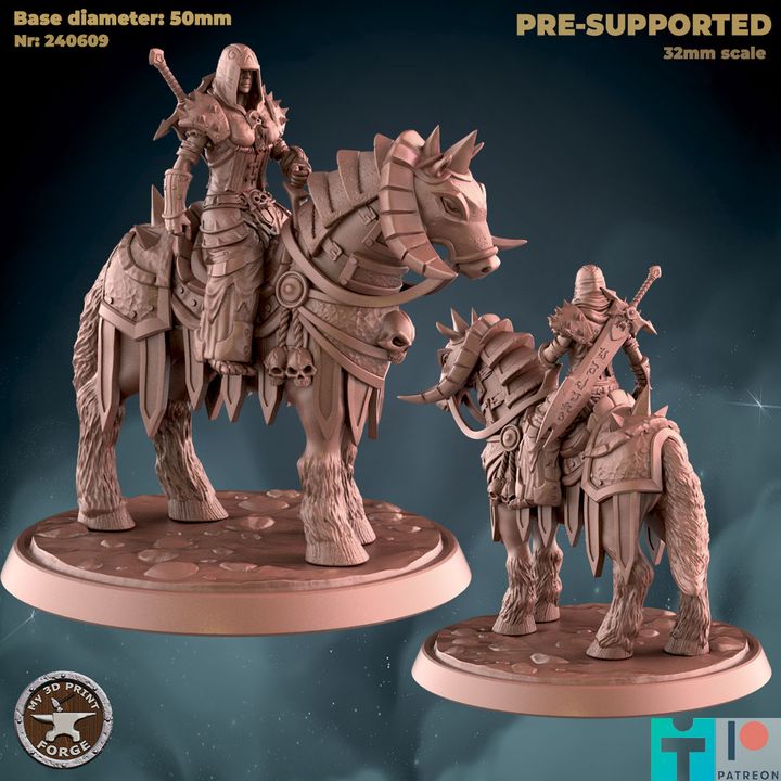 3D Printable Death Knight Human Female 3 models by My3DPrintForge