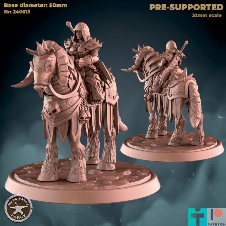 3D Printable Death Knight Dwarf Female 3 models by My3DPrintForge