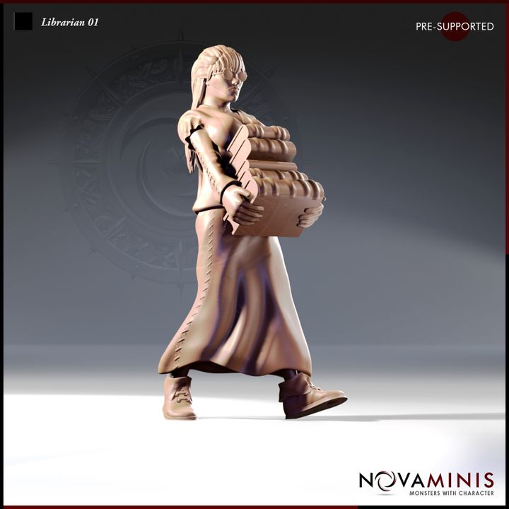 3D Printable Librarian 01 by NOVAMINIS