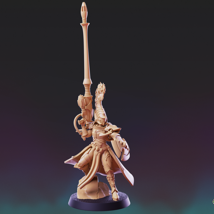 3D Printable Space Elf Subjugator Male - Leader by PSMiniatures