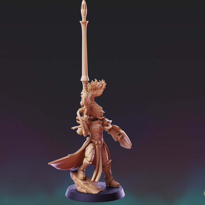 3D Printable Space Elf Subjugator Male - Leader by PSMiniatures