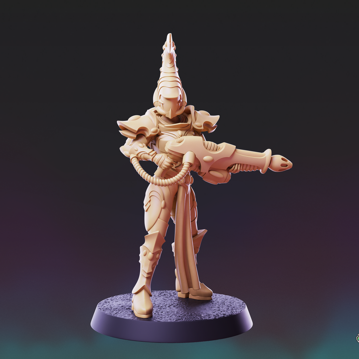 3D Printable Space Elf Subjugator Male - Bundle by PSMiniatures