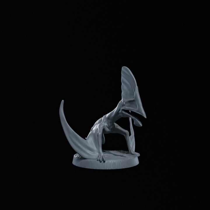 3D Printable SMALL pterodactyl by Dinoworld