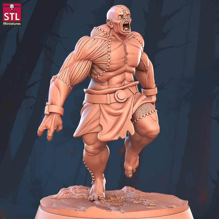 3D Printable Flesh Golem by STL Miniatures