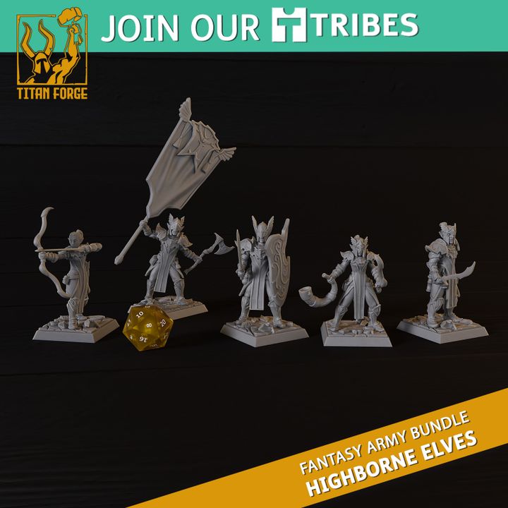 3D Printable Highborne Elves Bundle by Titan Forge Miniatures