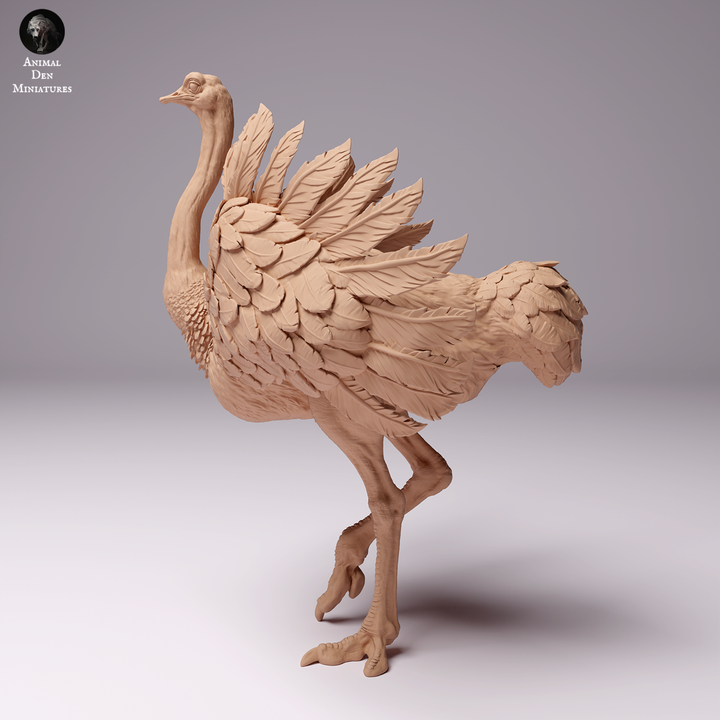 3D Printable North African Ostrich Male by Animal Den Miniatures