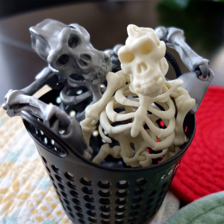 3D Printable Unique Fully Articulated Gorilla Skeleton 3D Print-In ...