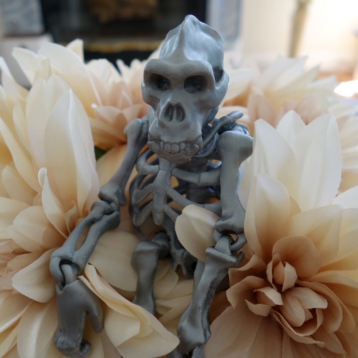 3D Printable Unique Fully Articulated Gorilla Skeleton 3D Print-In ...