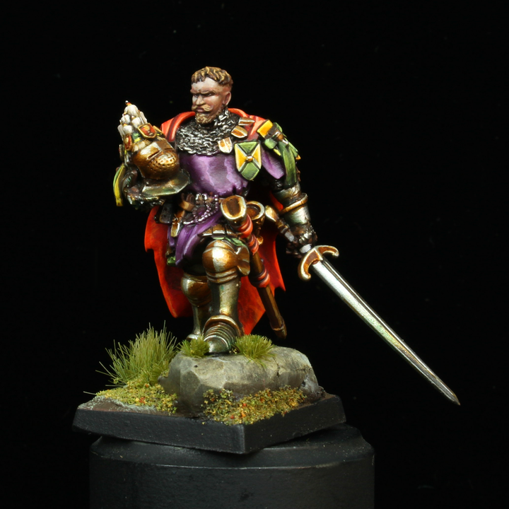 3D Print of NAX019 Duke Count Cecil Guibauld by 87Axia