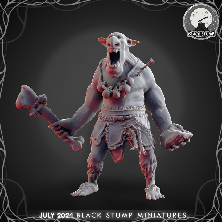 3D Printable Troll + 5E Stats .pdf! by Black Stump Miniatures