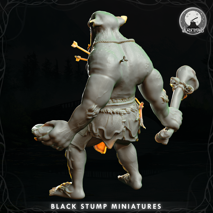 3D Printable Troll + 5E Stats .pdf! by Black Stump Miniatures