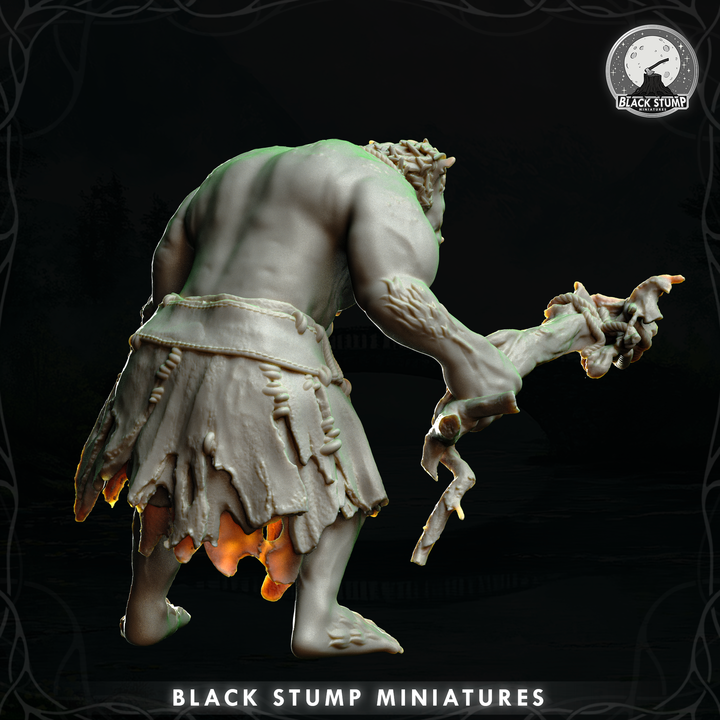 3D Printable Troll + 5E Stats .pdf! by Black Stump Miniatures