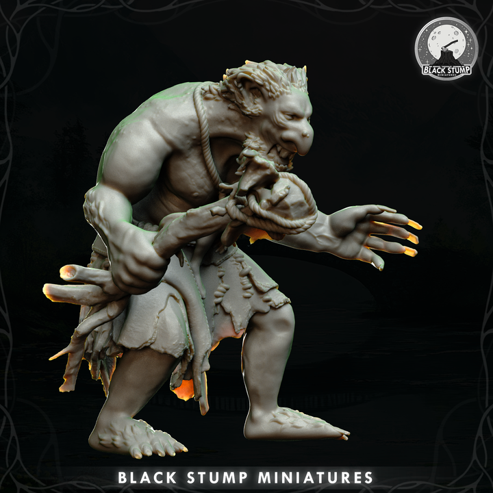3D Printable Troll + 5E Stats .pdf! by Black Stump Miniatures