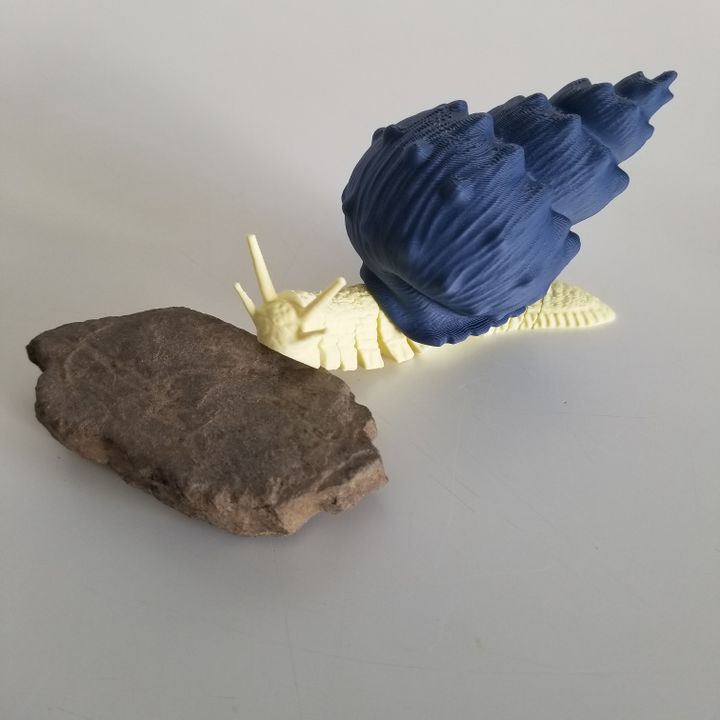 3D Printable Snail Flexi (Magnetic) by Boby Green Creations