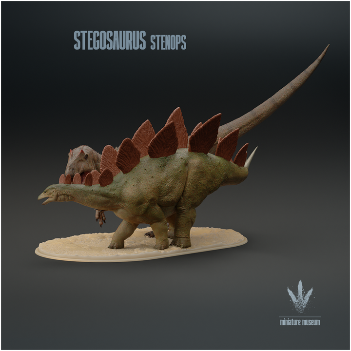 3D Printable Stegosaurus stenops: Attack by Miniature Museum