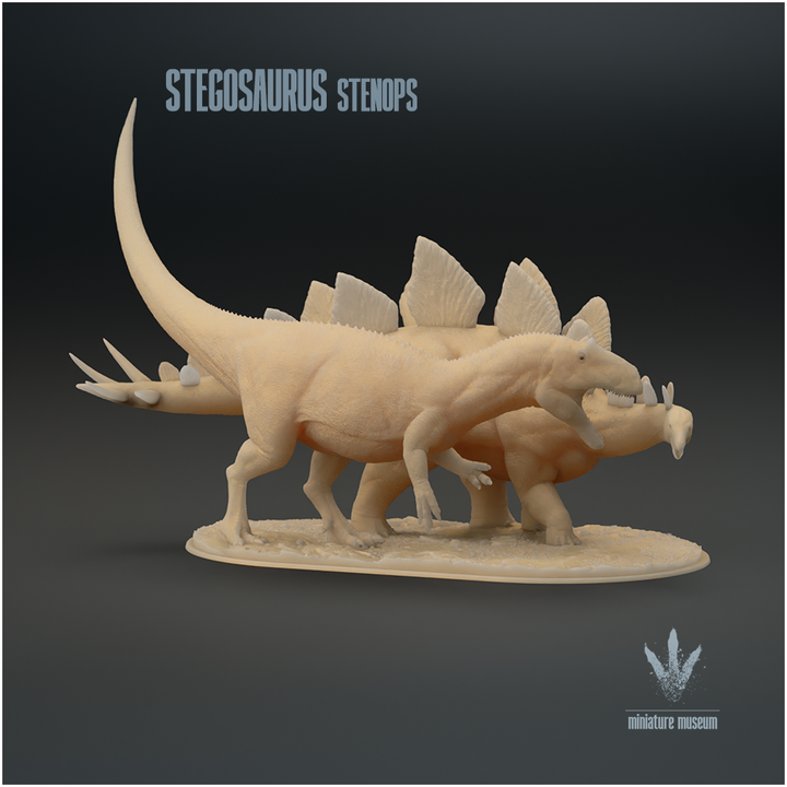 3D Printable Stegosaurus stenops: Attack by Miniature Museum