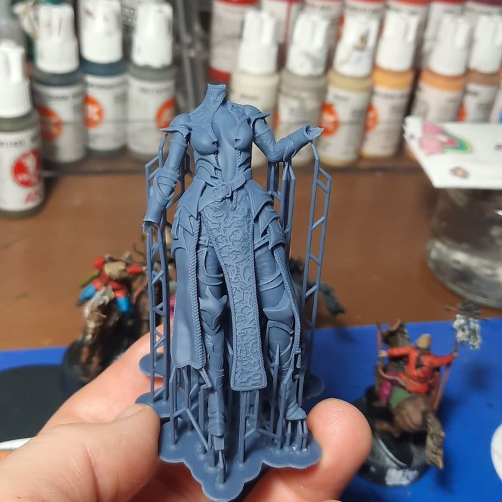 3D Printable Kilana Darkthorn "Tenebrian incarned Goddess" 75mm by ...