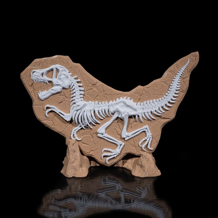 3D Printable Dino Evidence by Stlflix