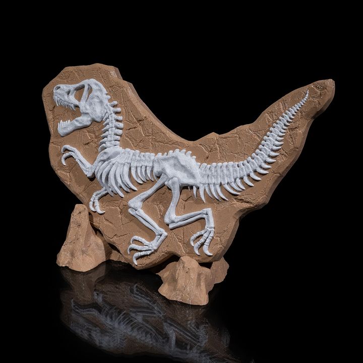 3D Printable Dino Evidence by Stlflix
