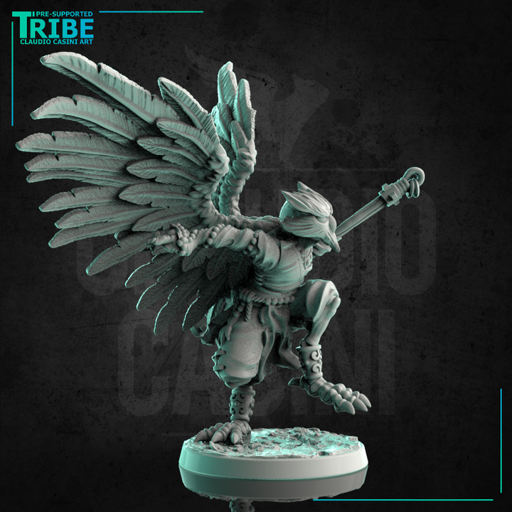 3D Printable (0220) Male featherfolk bird man folk monk with a club by ...