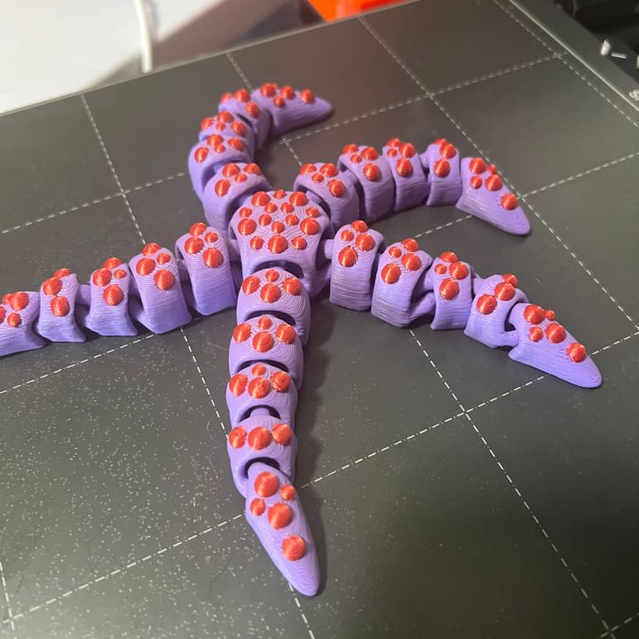 3D Print of Tiny Starfish by lexikoepke
