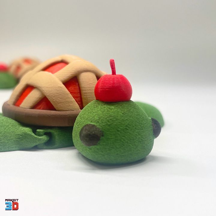 3D Printable 3D Printable Flexi Pie Turtle by Brandon