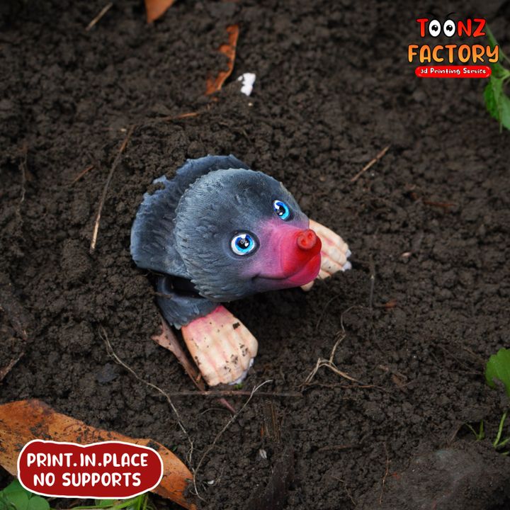 3D Printable Flexi Mole by Toonz Factory