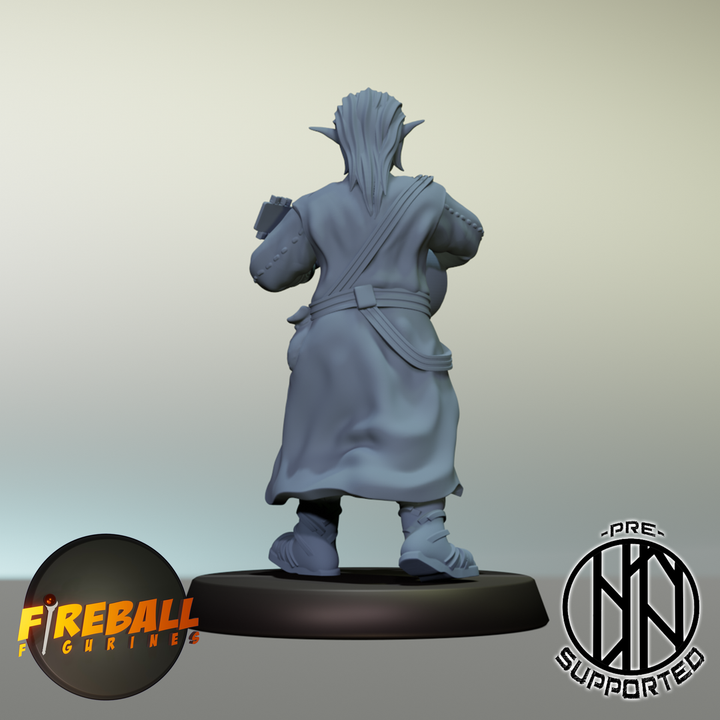 3D Printable Elion, Male Half-Elf Bard by Fireball Figurines