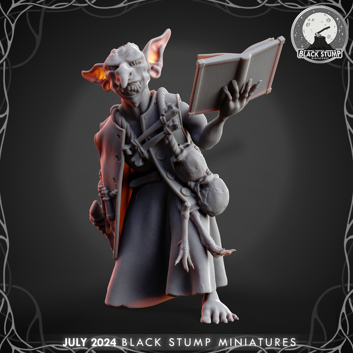 3D Printable Goblin Spirit talker + 5E Stats .pdf! by Black Stump ...